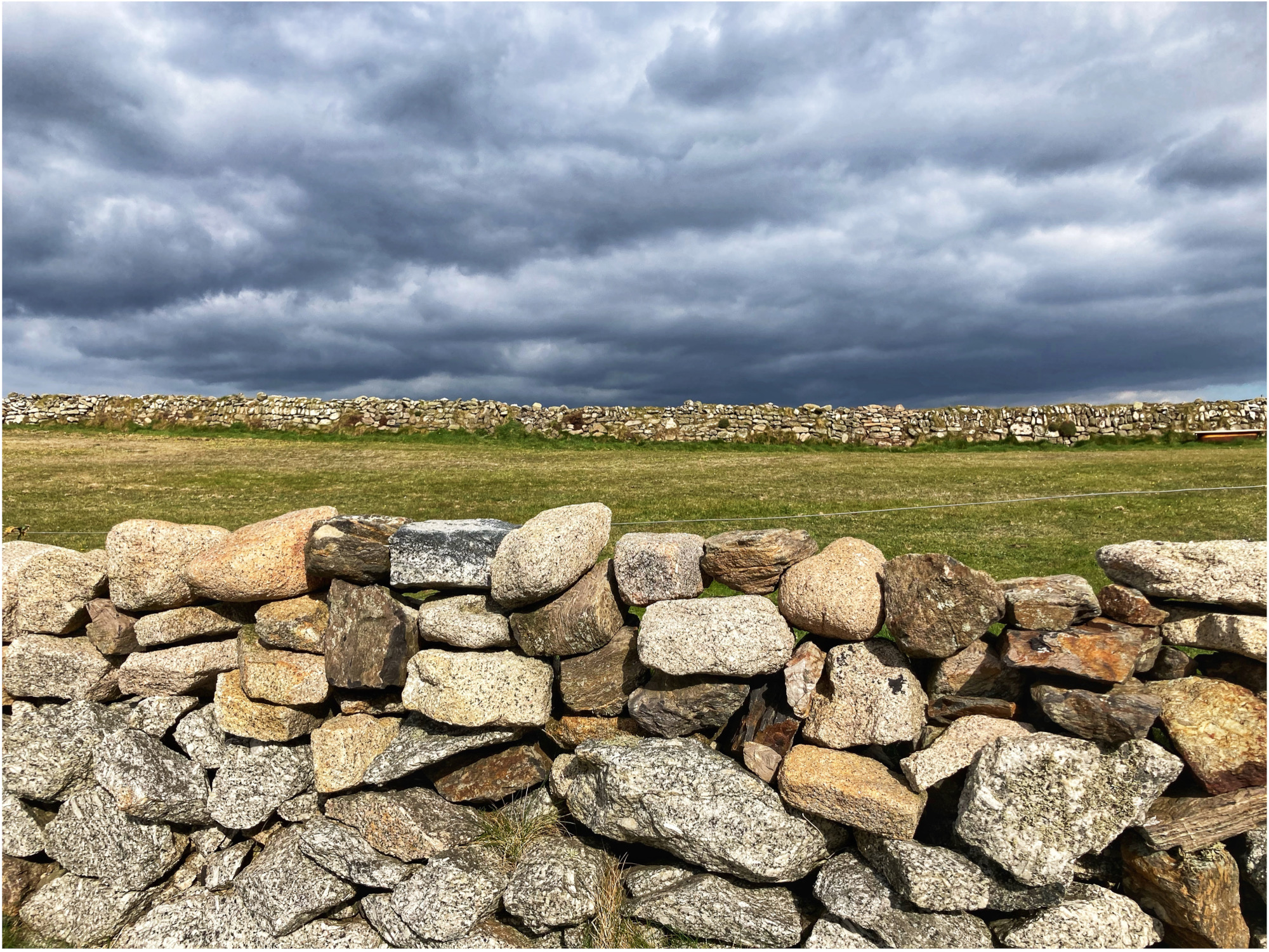Penwith Hedges Artistic opportunities