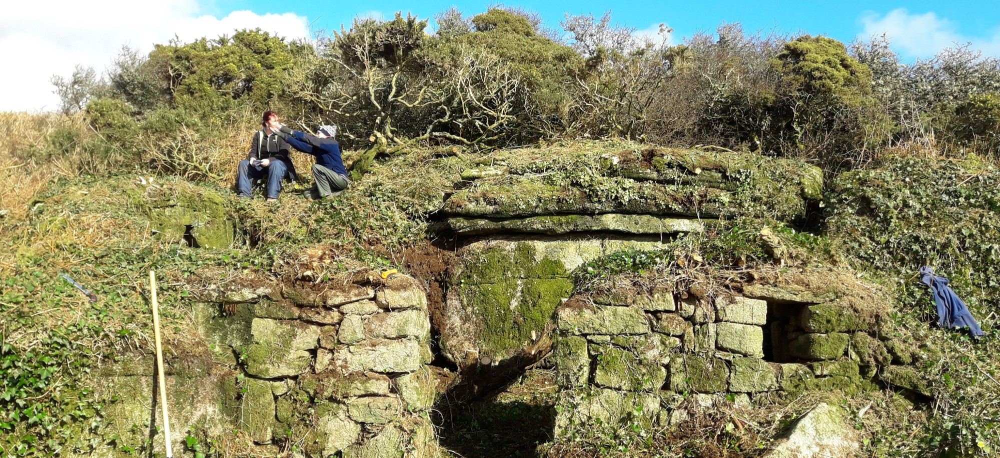 Penwith Landscape Partnership Project